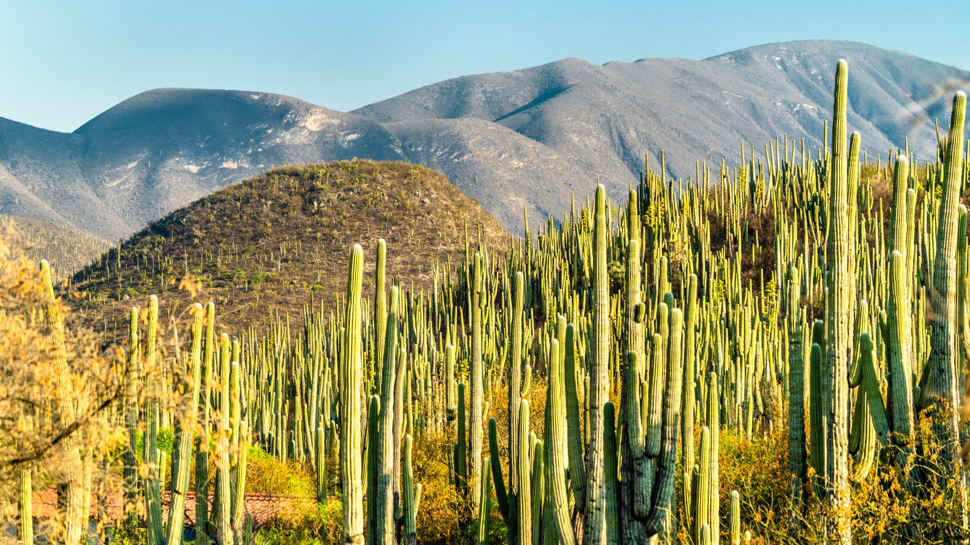 Climat et températures au Mexique | Guide de voyage pratique